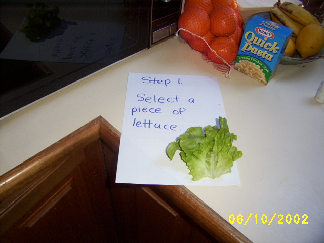 Experiment: Microwaved Lettuce